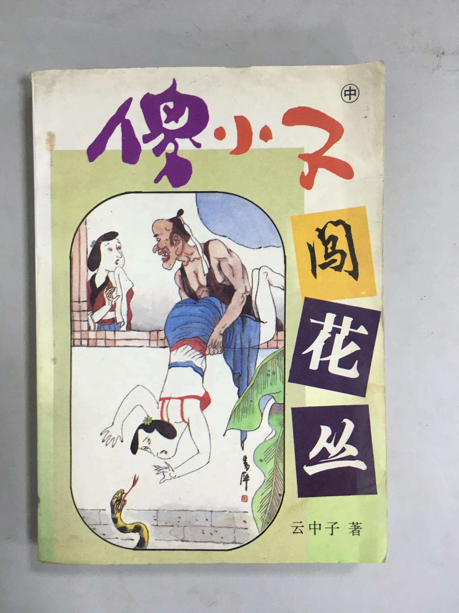 傻小子闯花丛中【好书】