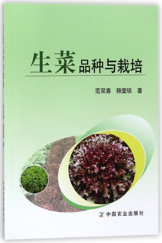 生菜品种与栽培