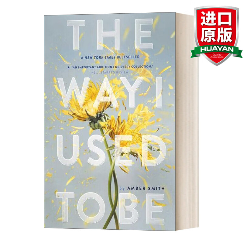The Way I Used to Be 英文原版小说 我曾经的样子 英文版 进口英语原版书籍