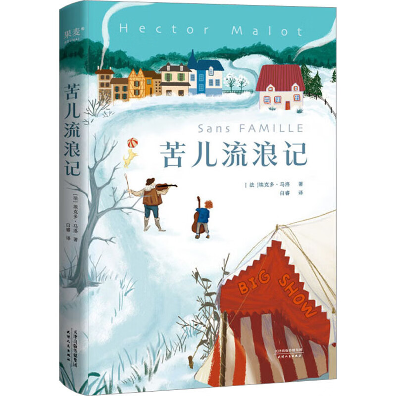 苦儿流浪记 图书