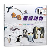 走近南极动物