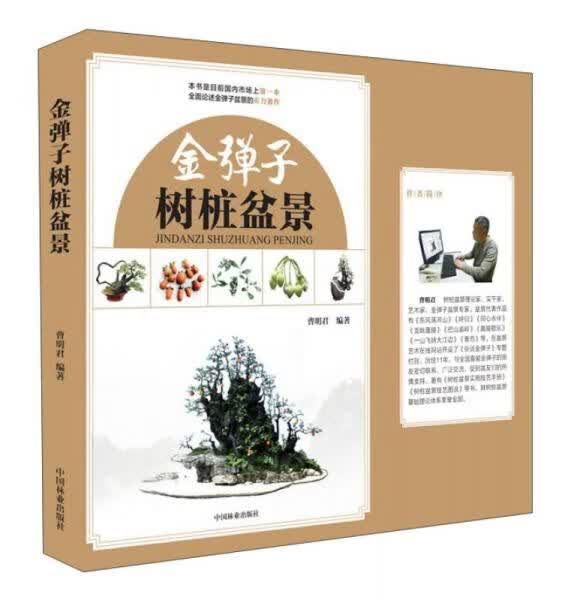 金弹子树桩盆景 园林艺术 曹明君 编著 新华