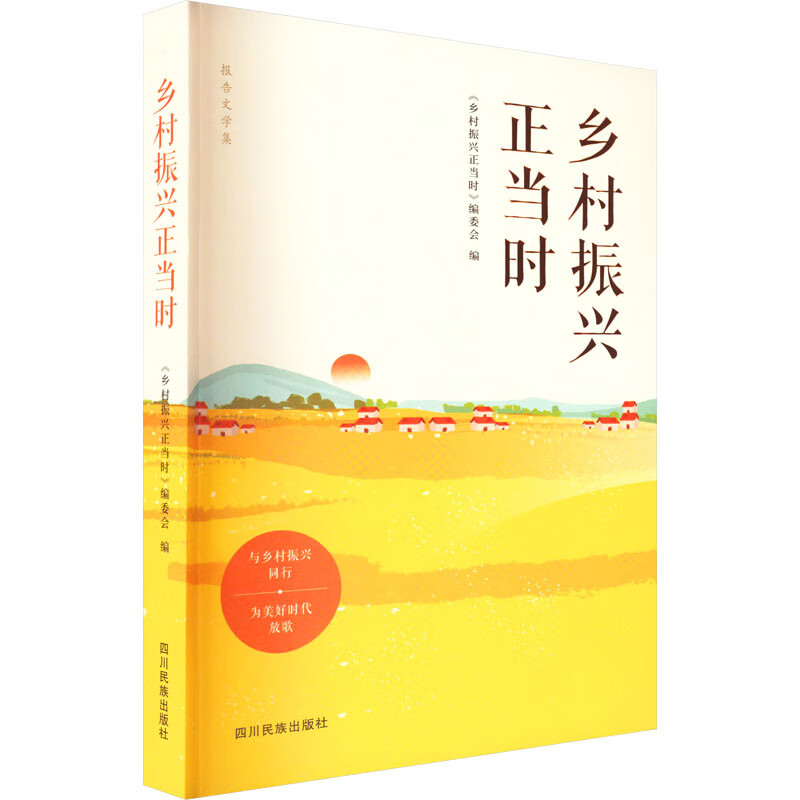 乡村振兴正当时 图书