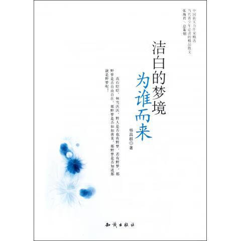 中国新实力作家精选:洁白的梦境为谁而来