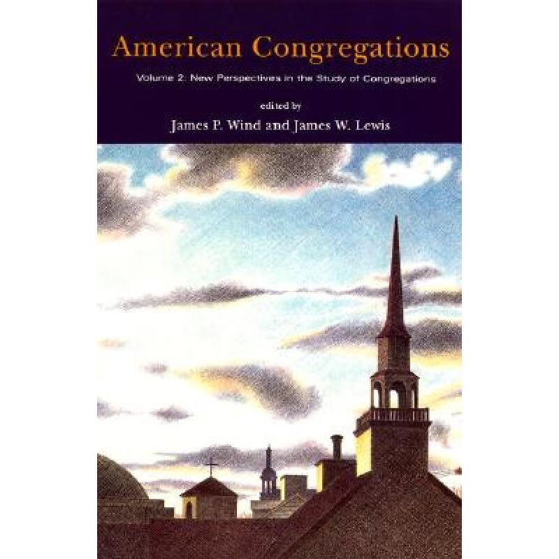 American Congregations, Volume 2: New Perspe...