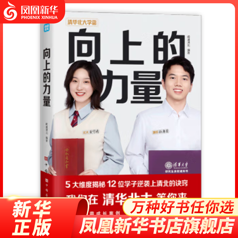 向上的力量
