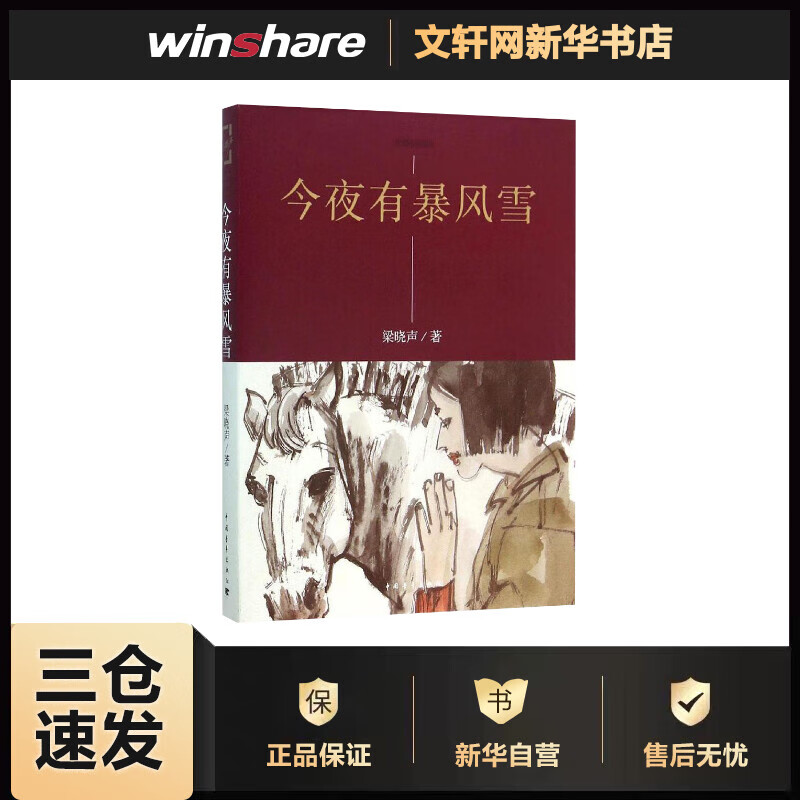 今夜有暴风雪 梁晓声作品