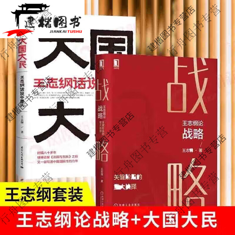 现货王志纲论战略+ 王志纲书籍时隔八十年 继林语堂 吾国与吾民 又一部写透中国国民性的力作） 大国大民+战略(套装 2 册)