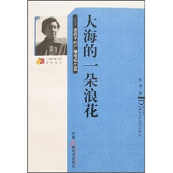 大海的一朵浪花:孟启予的广播电视生涯 周迅 著