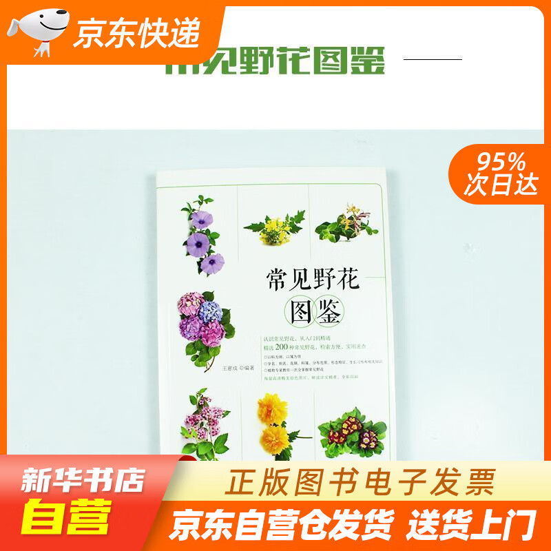常见野花图鉴 王意成 中国水利水电出版社 籍