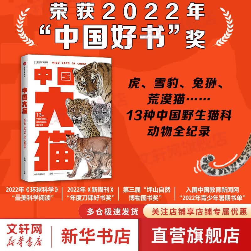 【央视2022年度中国好书】中国大猫 吕植著 虎 雪豹 兔狲 荒漠猫等13种中国野生猫科动物的发现及保护故事全纪录 科学又有趣的科普笔记 中国国家地理 哺乳动物猫科动物种类大全生物图鉴书 科普读物 图