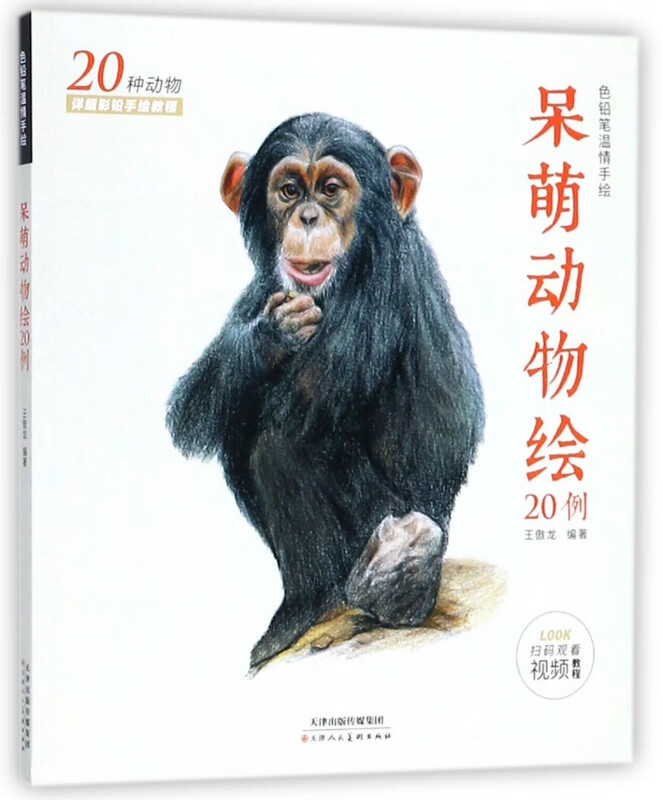 色铅笔温情手绘：呆萌动物绘
