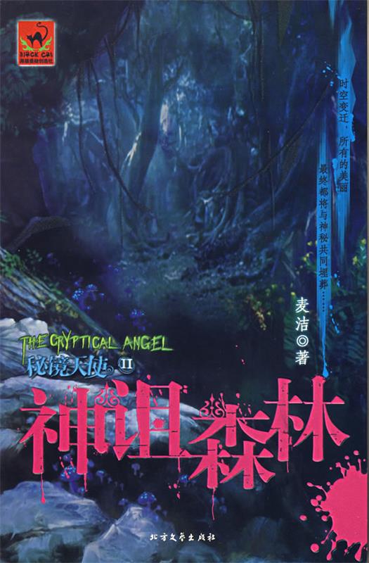 【现货】神诅森林-秘镜天使II