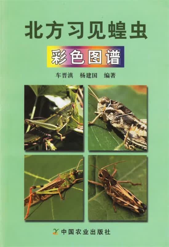 北方习见蝗虫彩色图谱