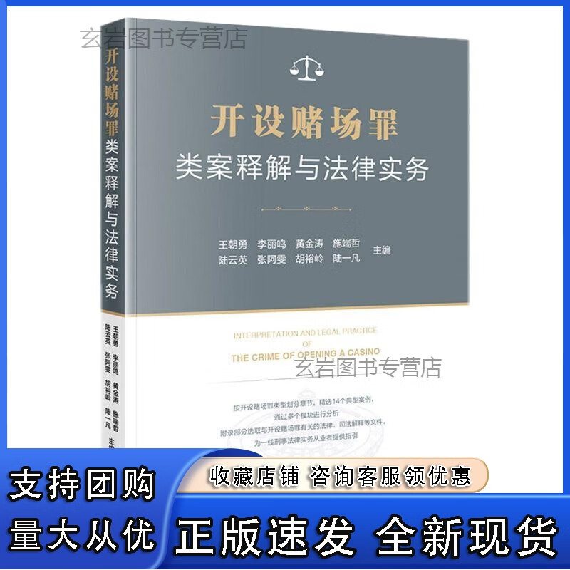 n开设赌场罪类案释解与法律实务 朝勇等