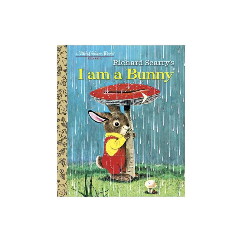 I Am a Bunny—我是一只小兔子【原版进口少儿绘本书籍】