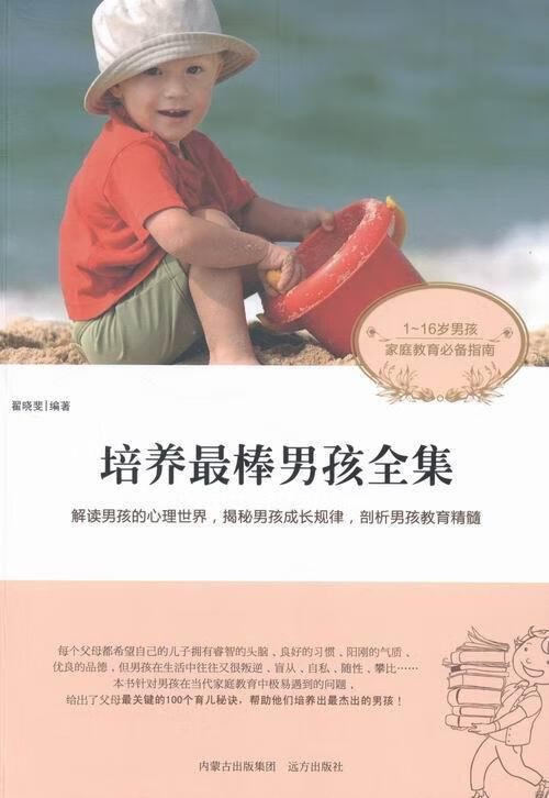 全新现货 培养棒男孩全集 9787555500520  翟晓斐 远方出版社 家教 男生家庭教育