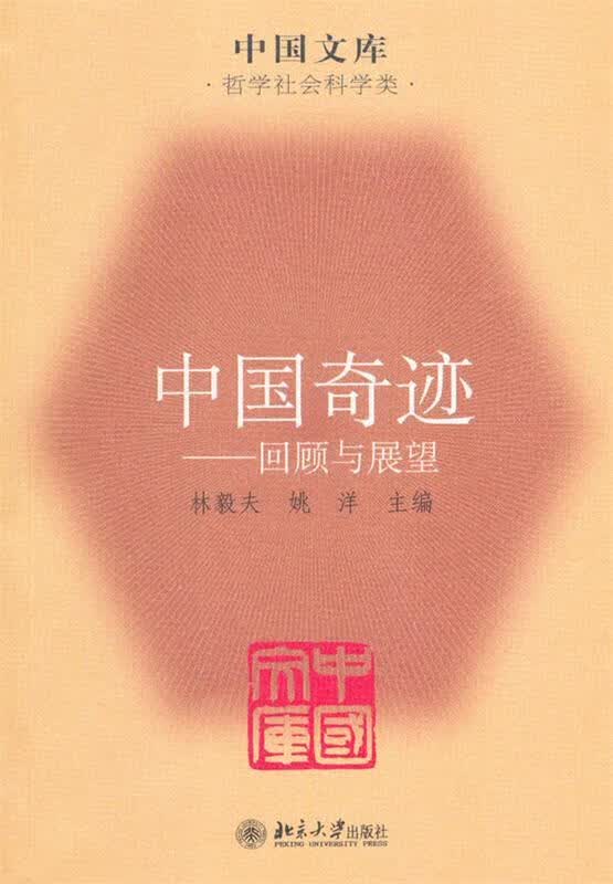 中国奇迹:回顾与展望