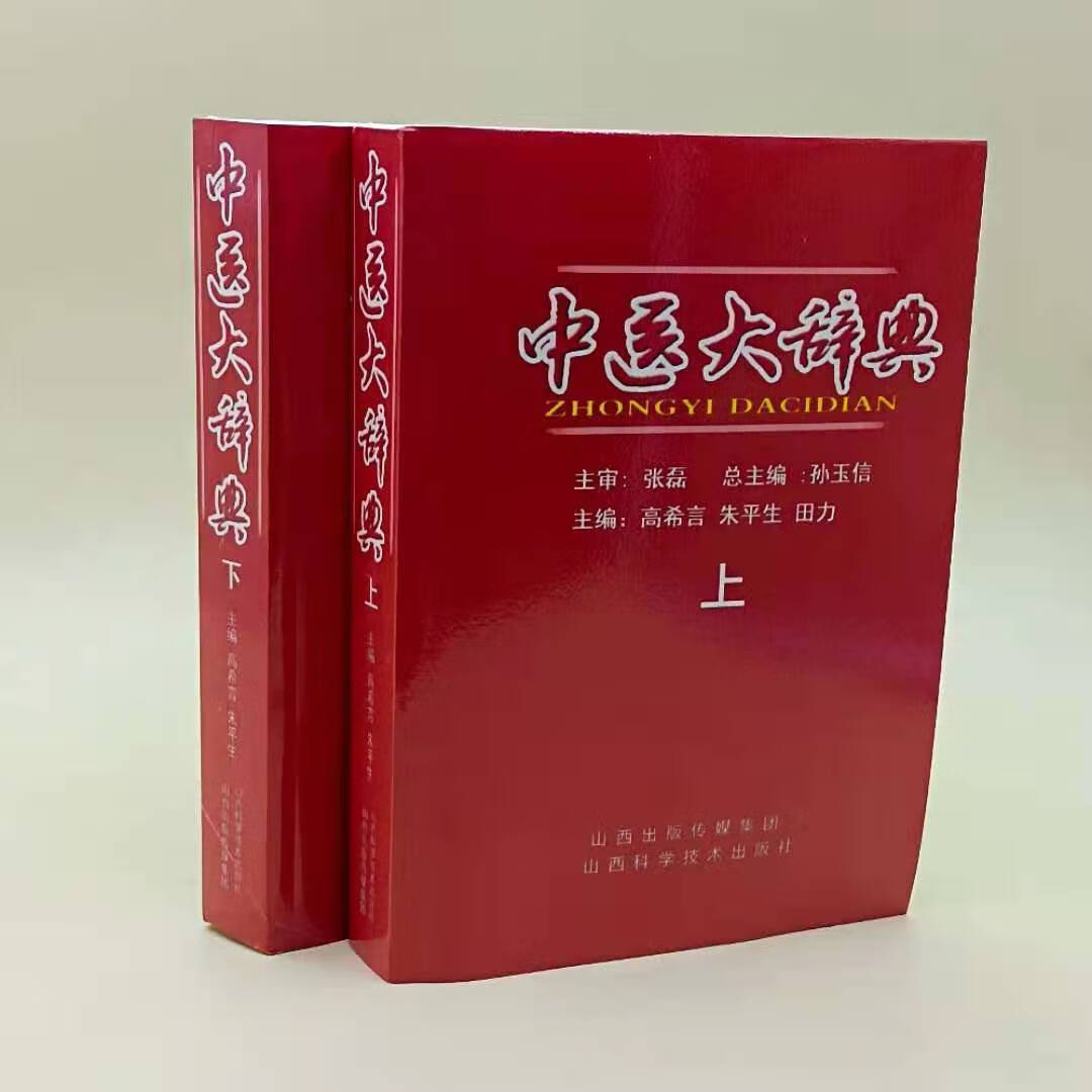中国医药学词典 中医大辞典 上下两册 高希言,朱平生2017