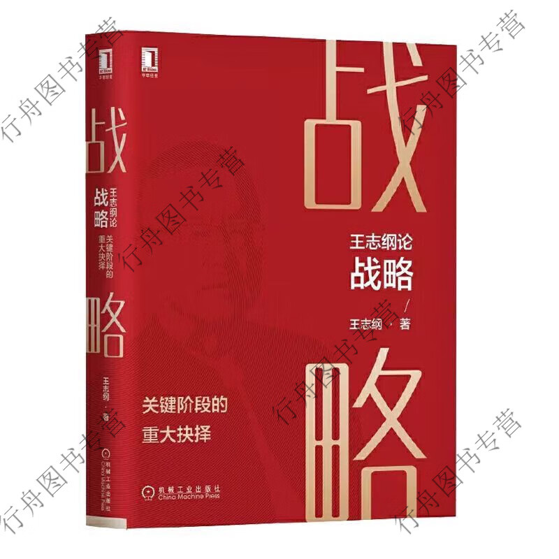 王志纲论战略+ 王志纲重大抉择 (王志纲话说中国人) 战略