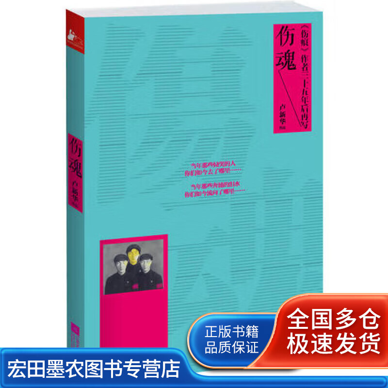 伤魂【好书】