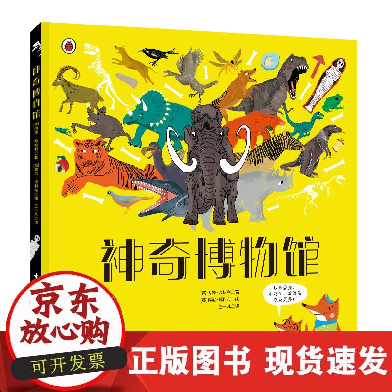 【现货】神奇博物馆