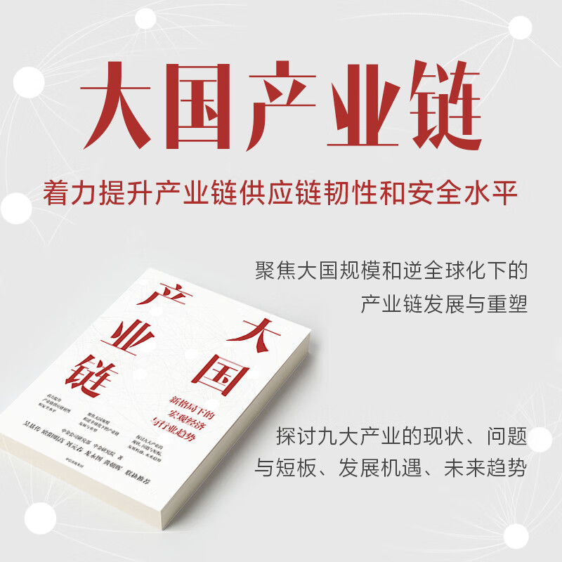 大国产业链 图书