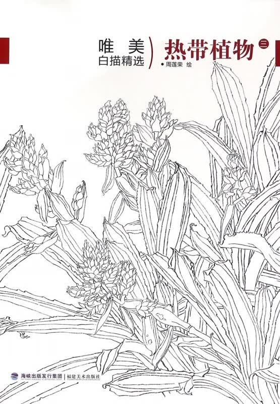 热带植物(3)/唯美白描精选
