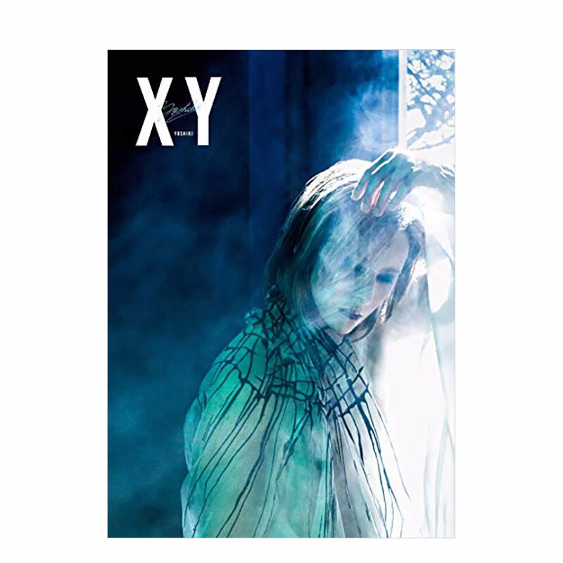 YOSHIKI豪华写真集 XY 进口日文原版 日本摇滚乐队X-JAPAN队长 林佳树 日语京东善本图书