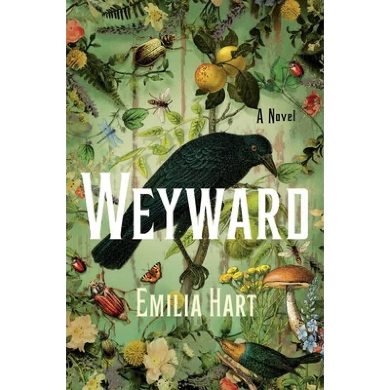命运女巫 Weyward: A Novel