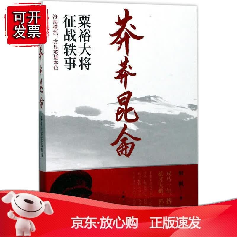 莽莽昆仑：大将征战轶事