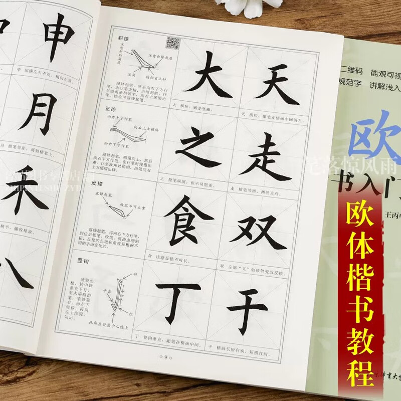 欧体楷书入门视频教程 附视频讲解 米字格楷书规范教程 欧阳询初学入门小学生成人自学入门临摹范本毛笔字帖 北京体育大学出版社