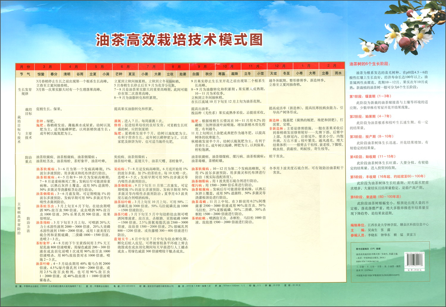 油茶高效栽培技术模式图