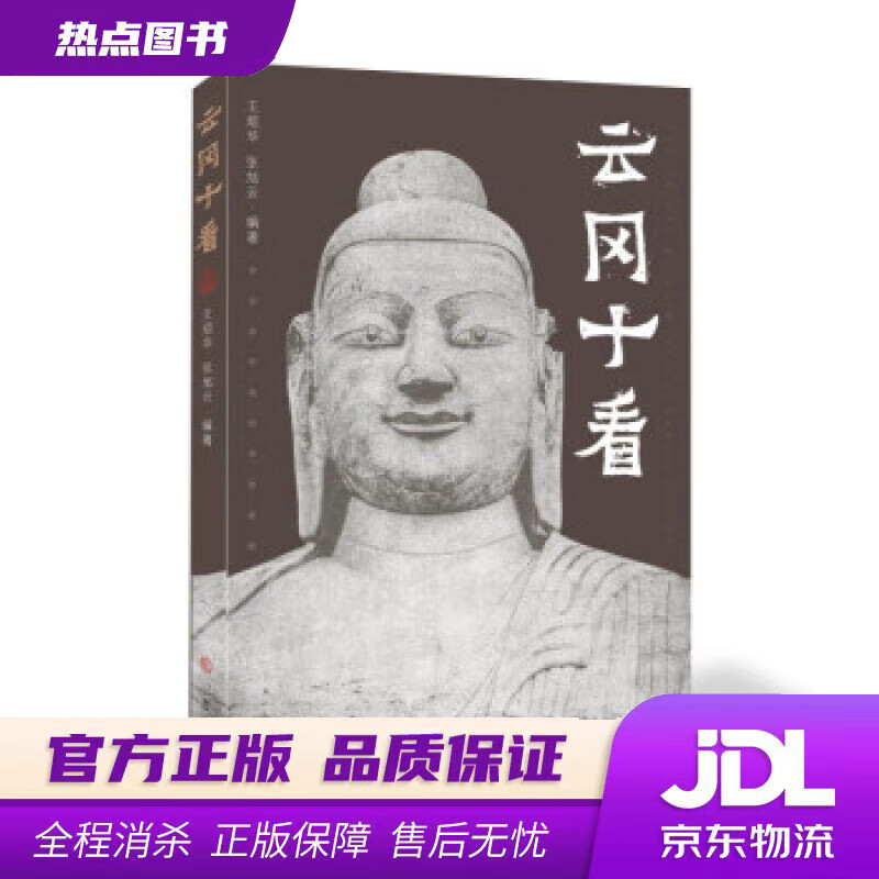【 官方】云冈十看 王烜华 著 三晋出版社