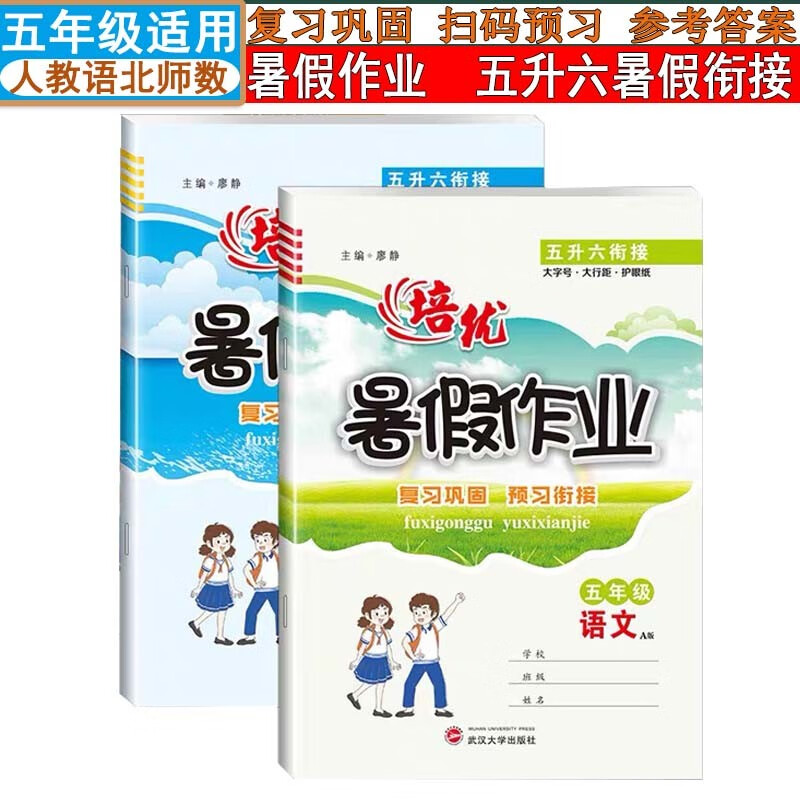 培优暑假作业语文北师数学五年级升六年级暑假衔接每日一练专项训练复习巩固预习衔接快乐暑假练习册2本
