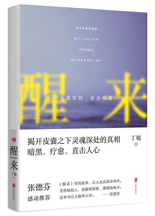 醒来:凡真实的，必会相遇 丁锐【书】