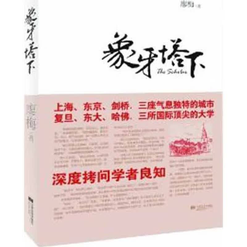 象牙塔下 廖梅 著