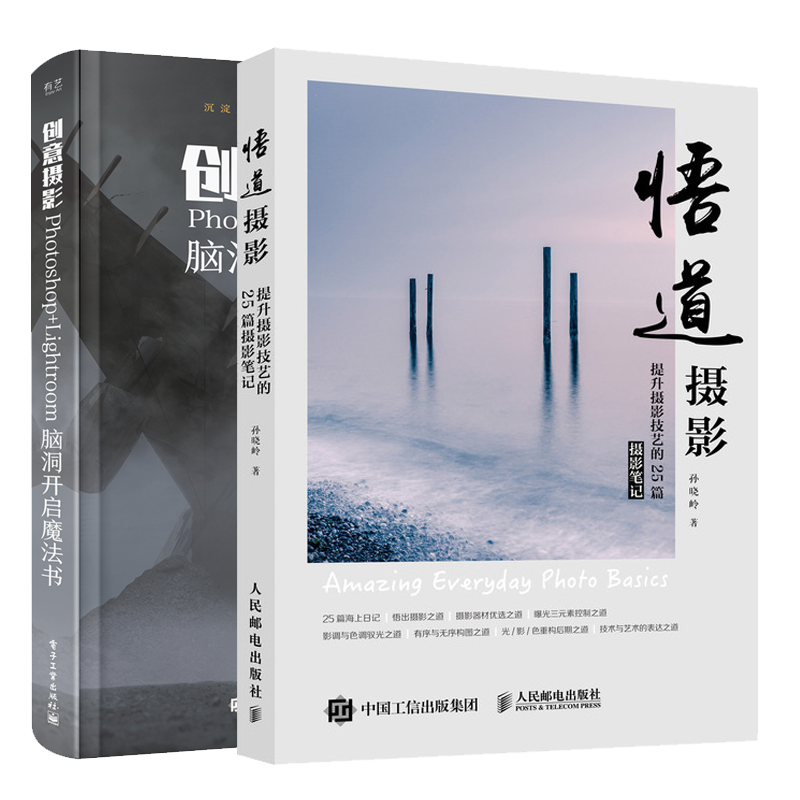 包邮 悟道摄影 提升摄影技艺的25篇摄影笔记+创意摄影书籍 2册 人民邮电出版社