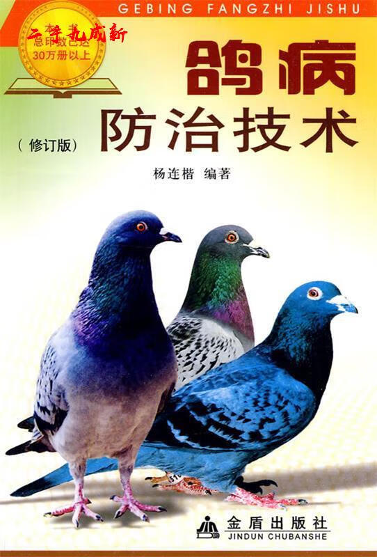 鸽病防治技术 杨连楷编著 金盾出版社 9787508219233
