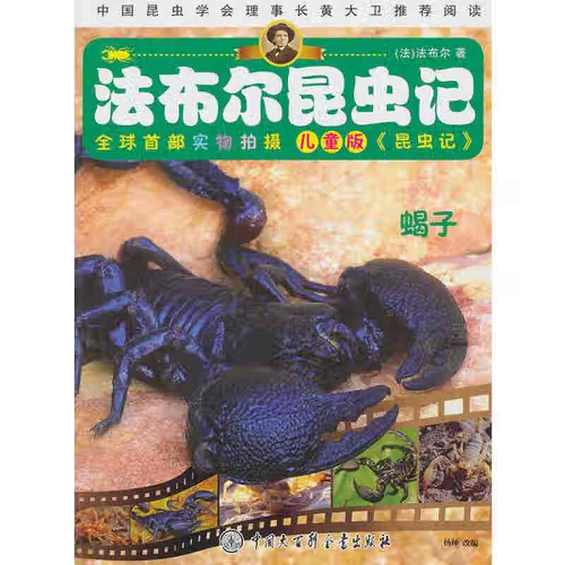 法布尔昆虫记 蝎子【现货】