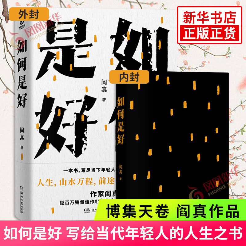 如何是好 阎真 真实的背后是动人的真情实感 现当代文学 湖南文艺出版社书籍凤凰旗舰店 如何是好【定价59.8】