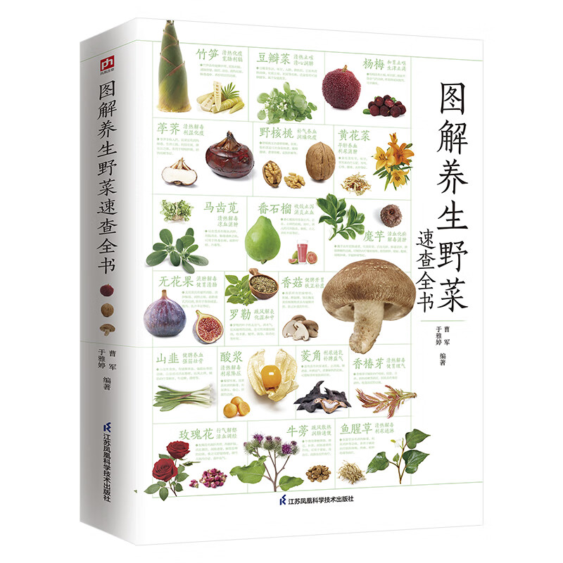 图解养生野菜速查全书