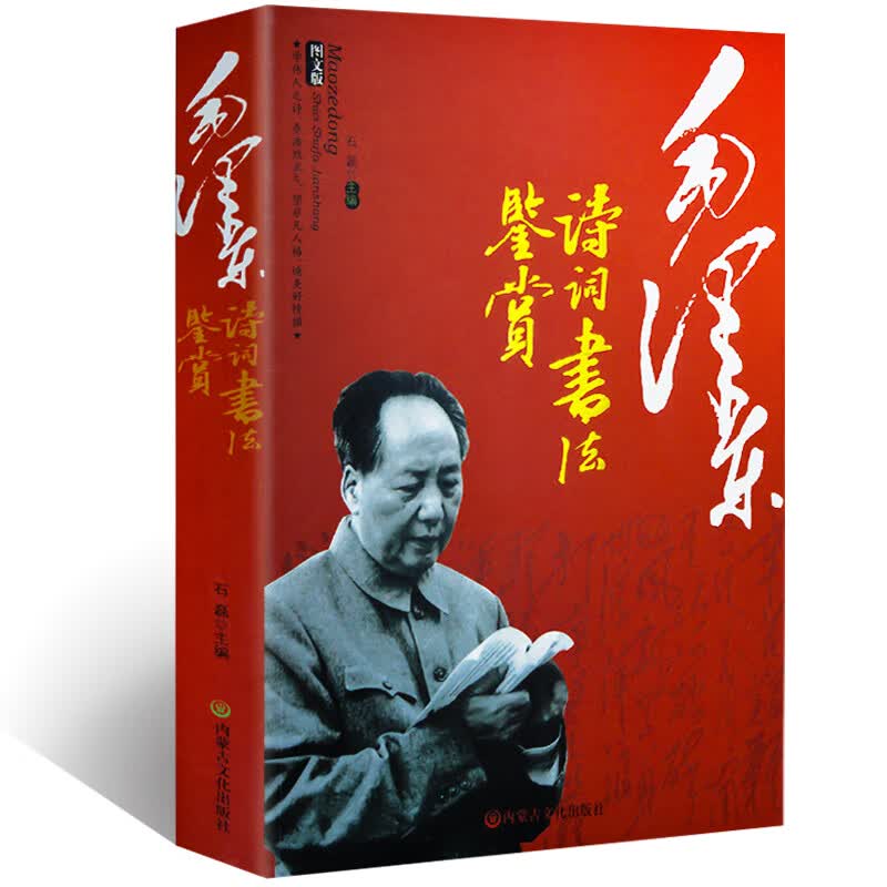 诗词书法鉴赏 图文版 诗词鉴赏全集带注解 诗词手迹鉴赏 沁园春长沙中国现当代诗歌书籍