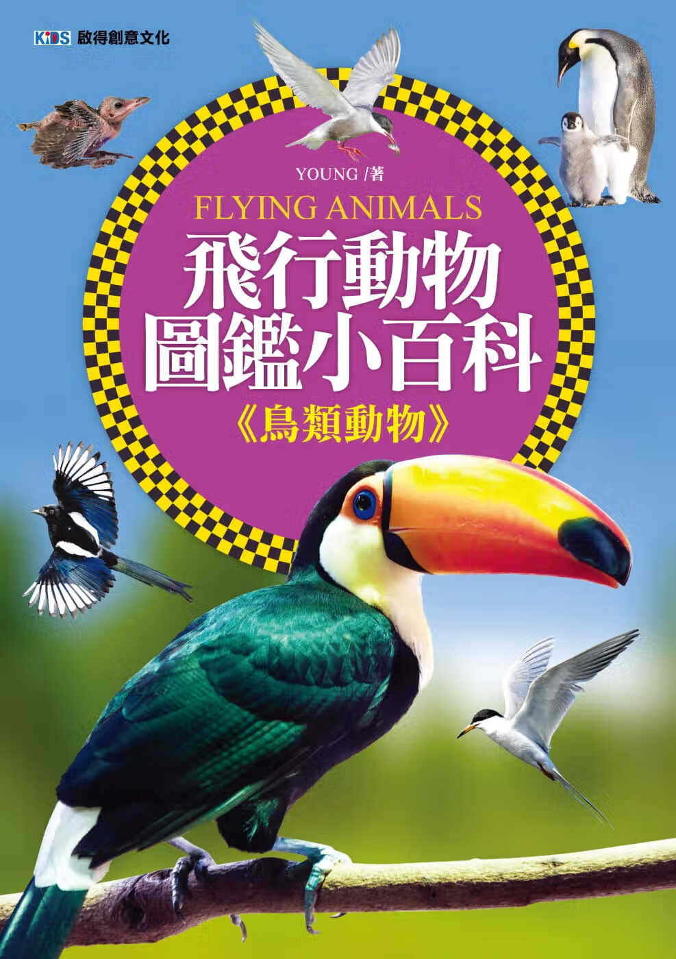 预售 原版进口书 Young飞行动物图鉴小百科鸟类动物启得创意文化有限公司