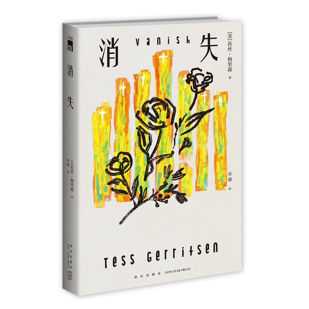消失 苔丝·格里森话题之作 美剧《妙女神探》系列原著小说，双女主强强联手，惊险刺激，反转不断。
