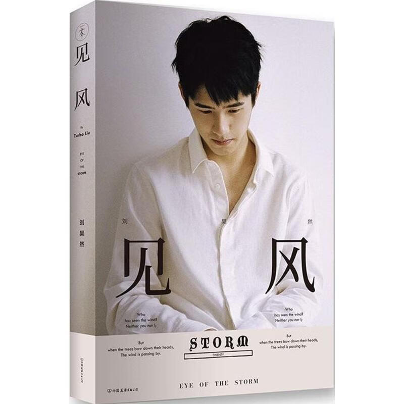 见风 刘昊然 著 中国友谊出版公司 9787505736856