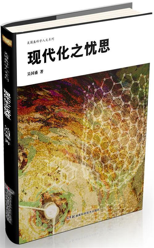 现代化之忧思【好书，下单速发】