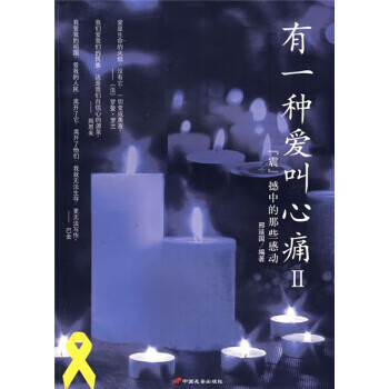 有一种爱叫心痛2 邢延国