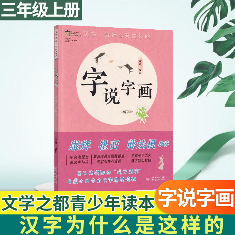 2023版字说字画一二三年级上下册康辉崔峦薛法根南京出版社汉字为什么是这样的徐艳编著同步课本启蒙 【文字启蒙亲子共读】三年级上册