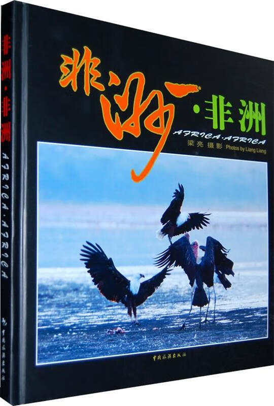 非洲·非洲【好书，下单速发】